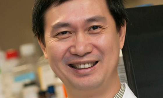 Chen, Winner of Two Faculty Recognition Awards | St. John's University