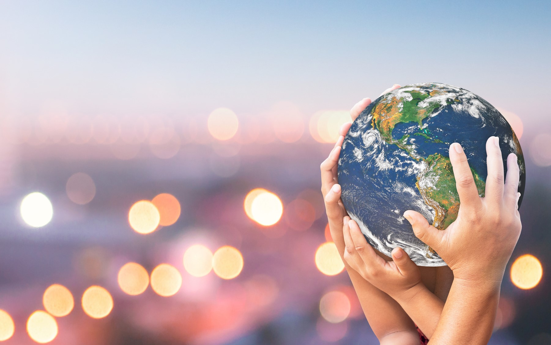 Global Entrepreneurship Development Program | St. John's University