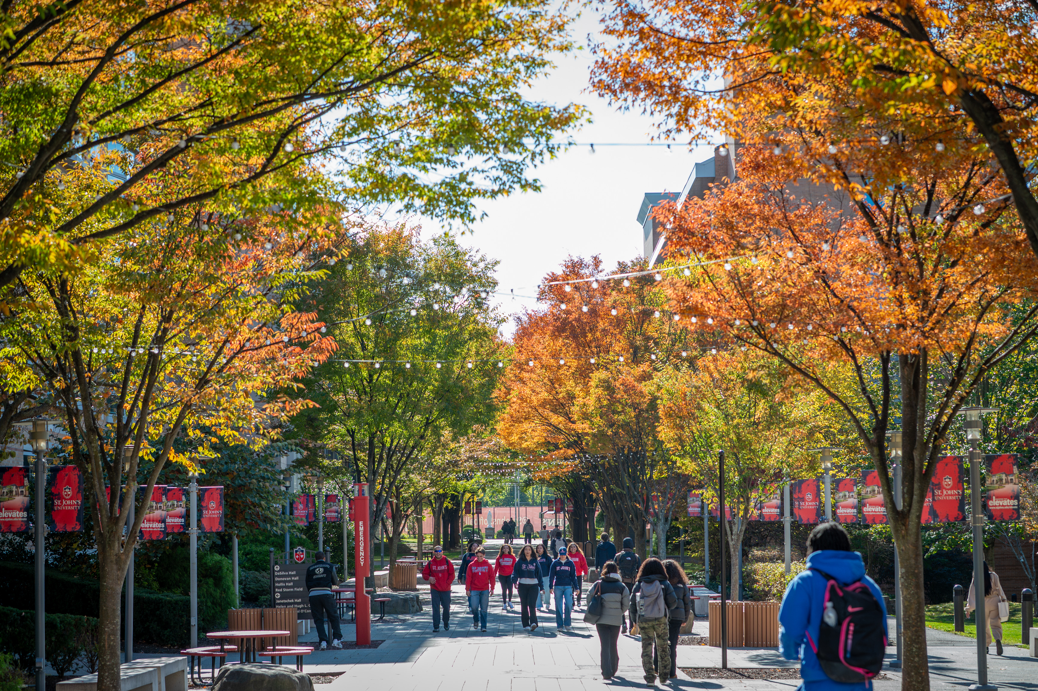 4 Flexible College Pathways That Fit Your Life and Goals